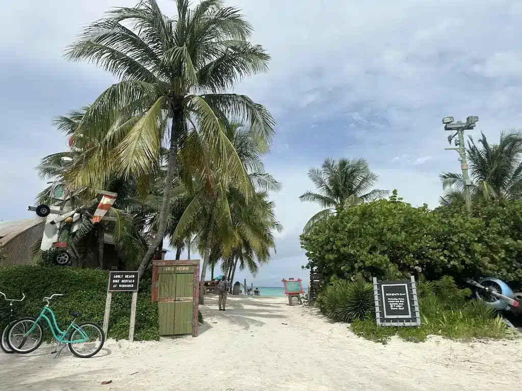 DCL Castaway Cay: The Complete Guide to Exploring Paradise